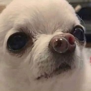 Steam Community :: N1aR