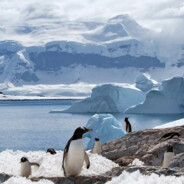 Steam Community :: Antarctica bandit.gg