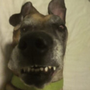 Steam Community :: LopezCt