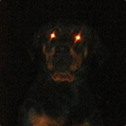 Steam Community :: Spooky doggo