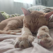 Steam Community :: Mantis