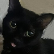 Steam Community :: Tony Cat