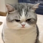 Steam Community :: Hawkai