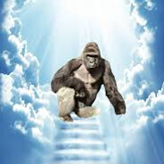 Steam Community :: Lord and savior harambe