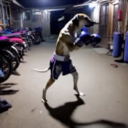 Steam Community :: foul stench