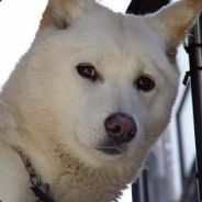 Steam Community :: swarmp