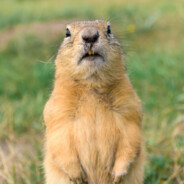 Steam Community :: Master_Suslick