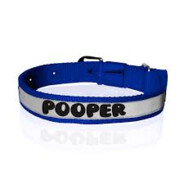Steam Community :: POOPER POOPER BELT