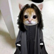 Steam Community :: chickeraffe