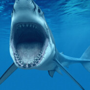 Steam Community :: shark_attack