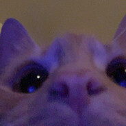 Steam Community :: sco